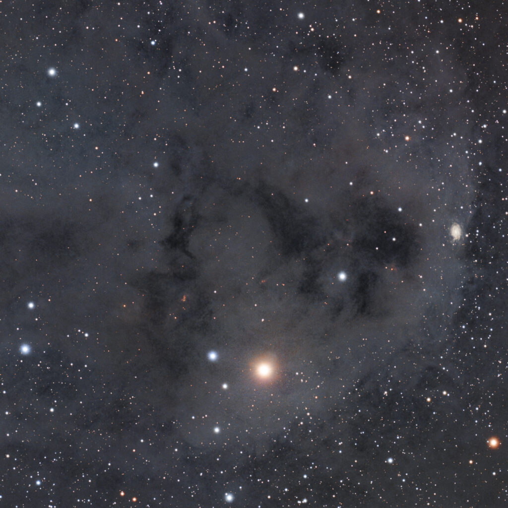 The Rotten Fish Nebula | LDN 1251 - Urban Astrophotography