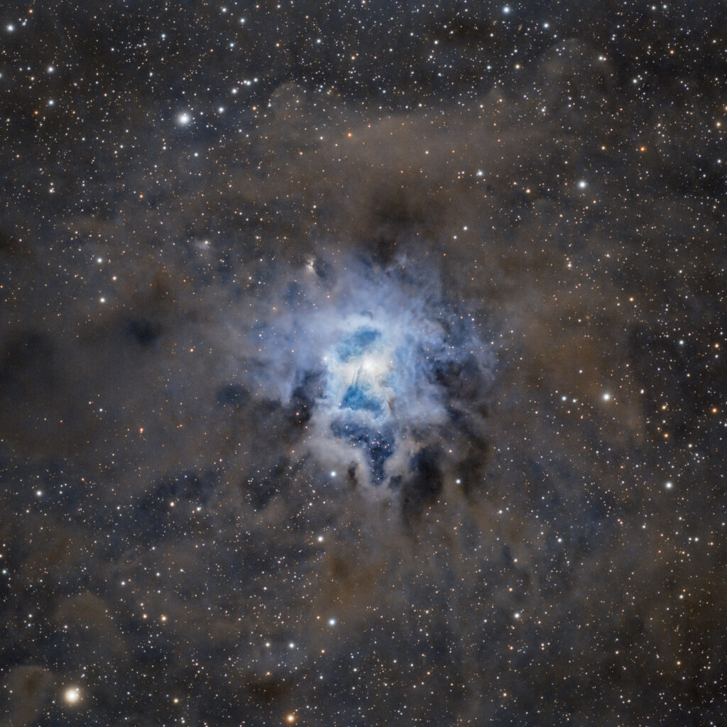 The Iris Nebula | NGC 7023 - Urban Astrophotography